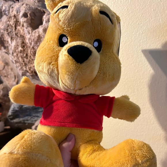 Disney | Toys | Exclusive From Disney Park Winnie The Pooh Big Feet ...